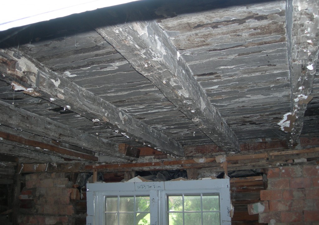 Behind the Plaster - Newtown History Center